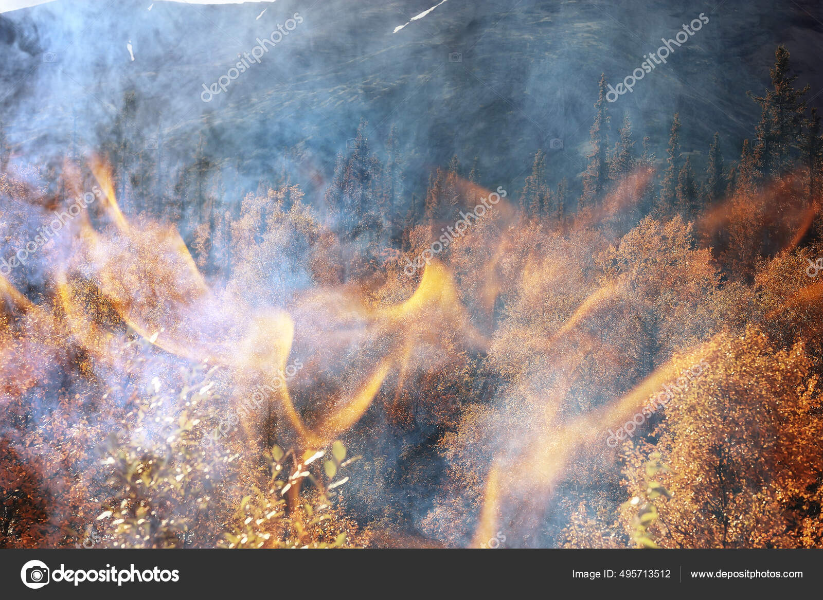 Forest Fire Background Landscape Abstract Fire Smoke Forest Drought ...
