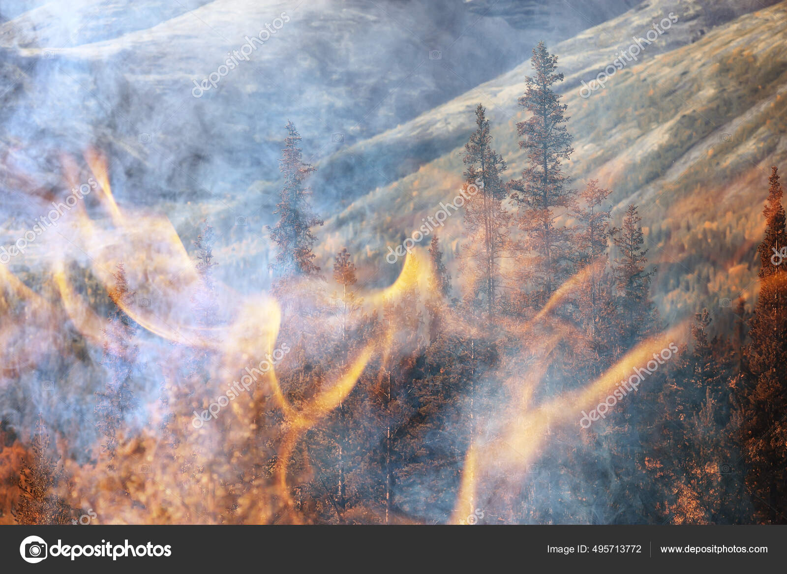 Forest Fire Background Landscape Abstract Fire Smoke Forest Drought ...