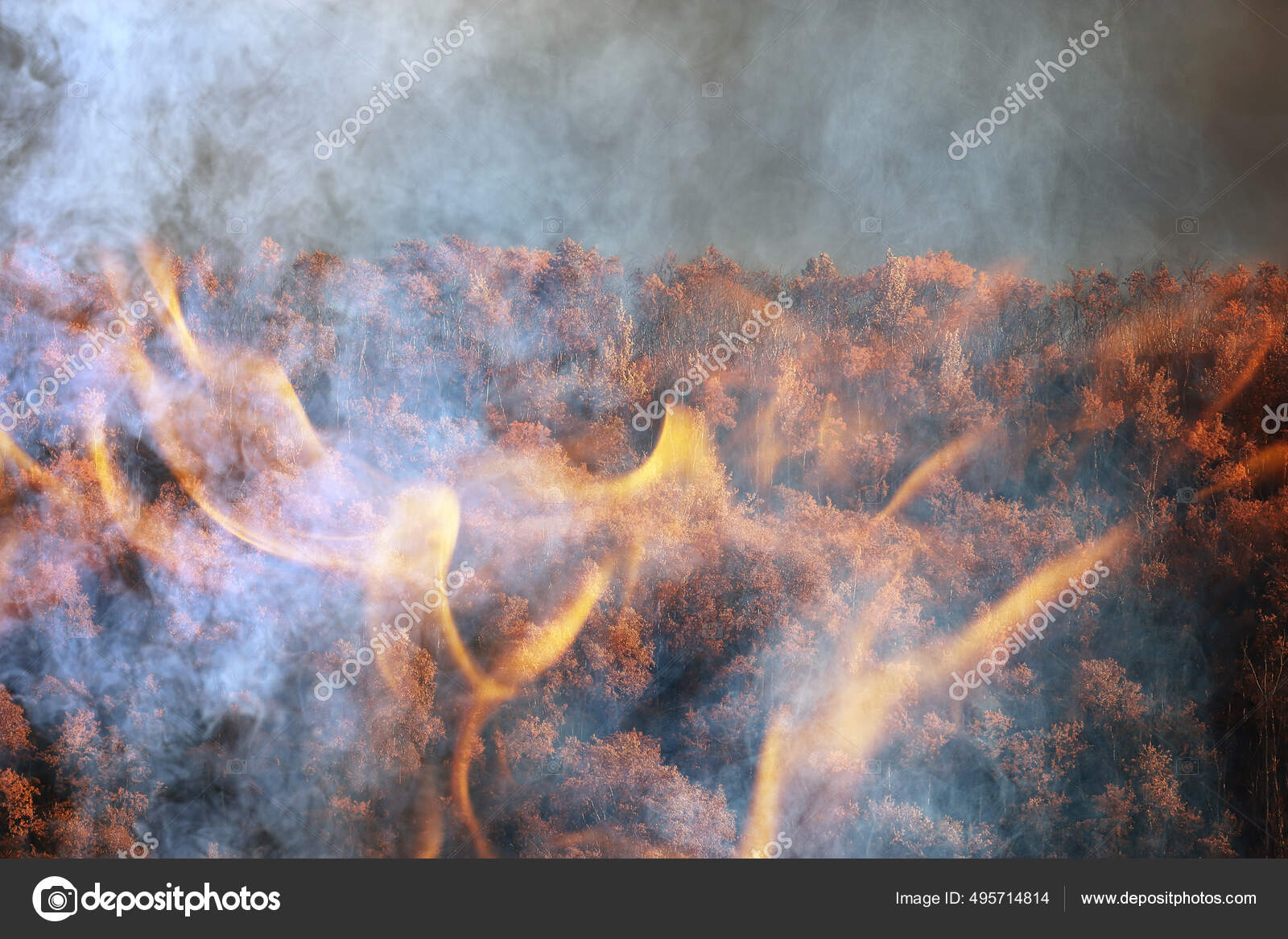 Bosque Fuego Fondo Paisaje Fuego Abstracto Humo Bosque Árboles Sequía ...