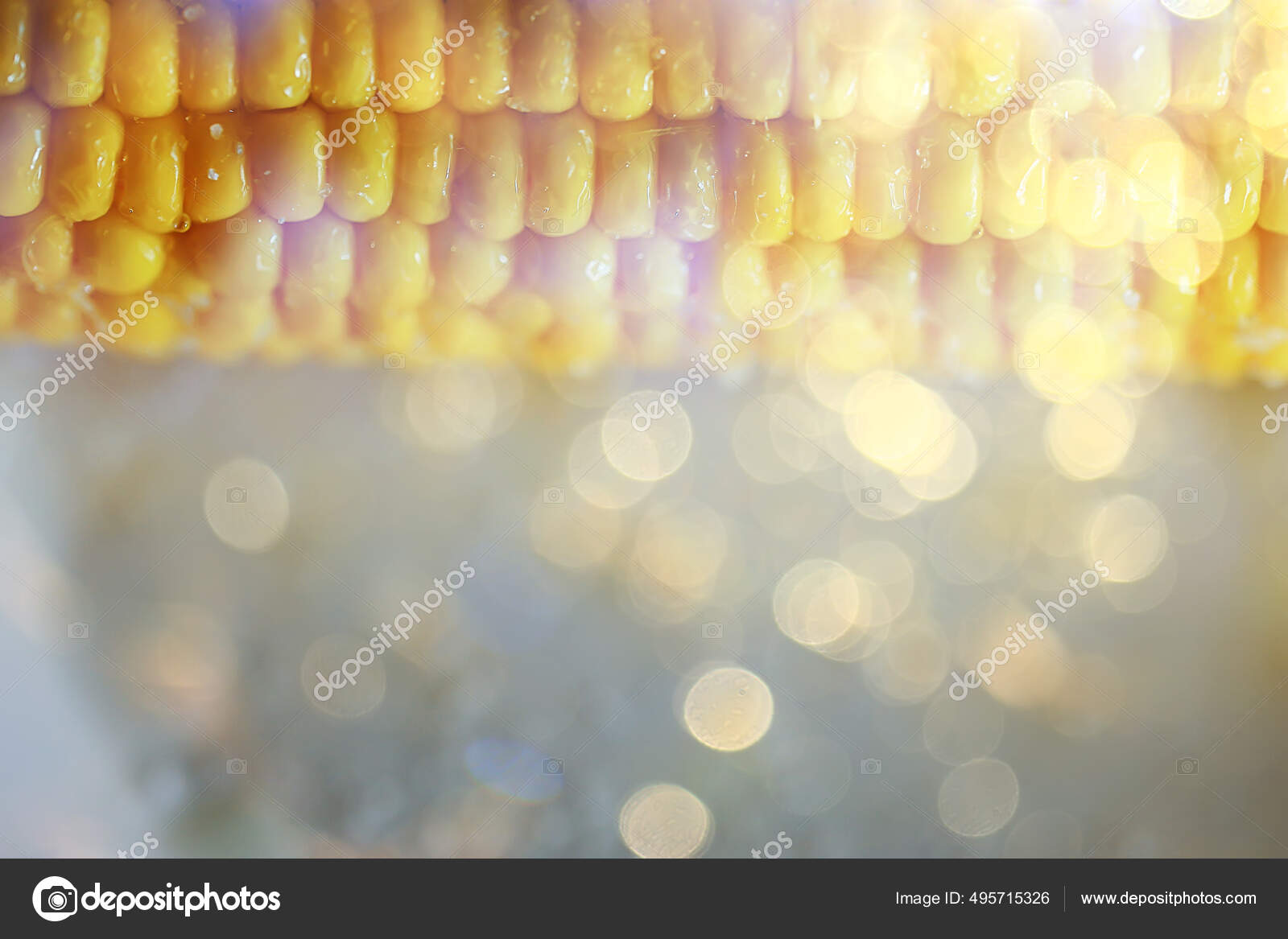 Hot Boiled Corn Cob Fresh Vegetable Diet Background — Stock Photo ...