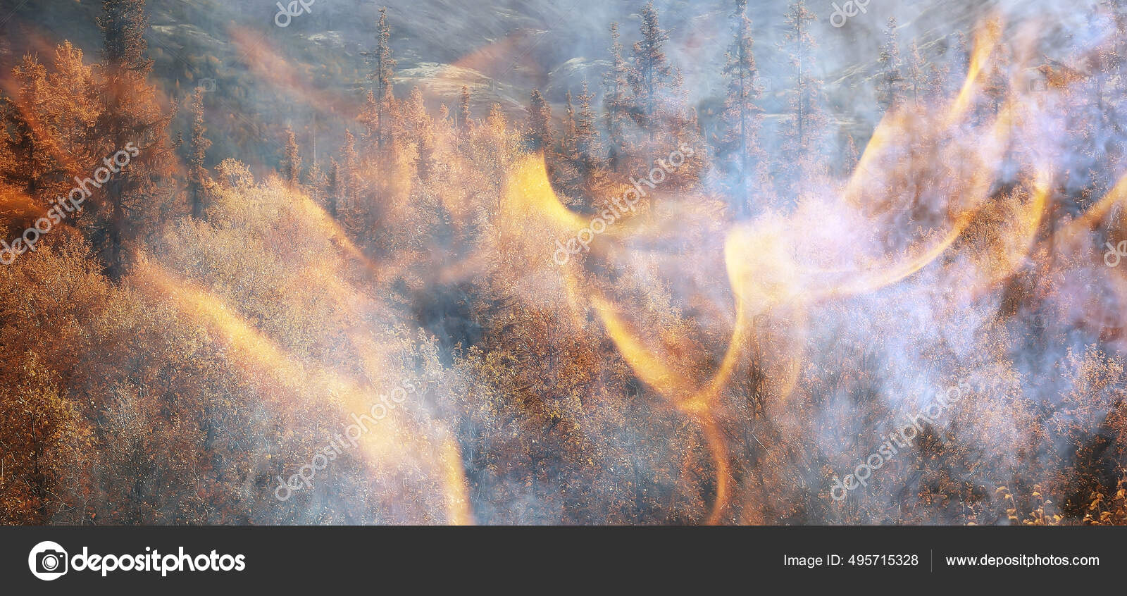 Forest Fire Background Landscape Abstract Fire Smoke Forest Drought ...
