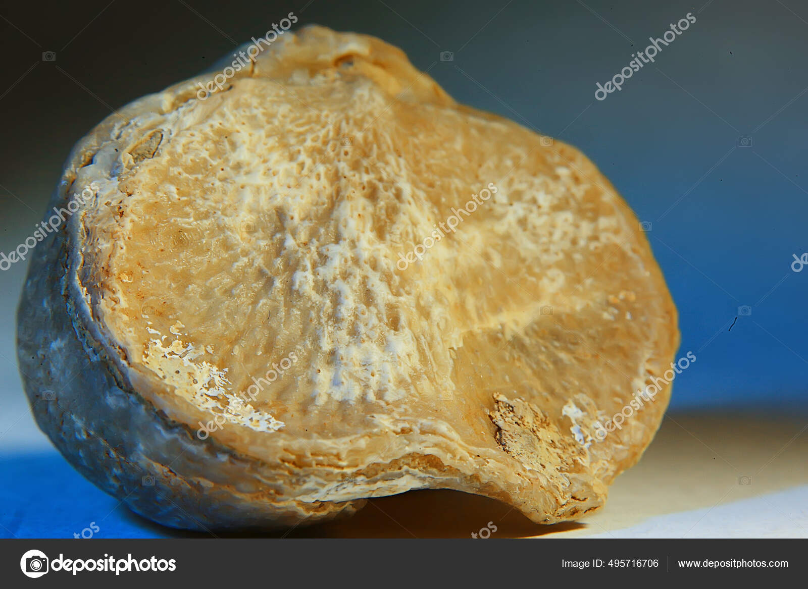 Quartz Crystals Nature Druse Gem Gemstone — Stock Photo © xload #495716706