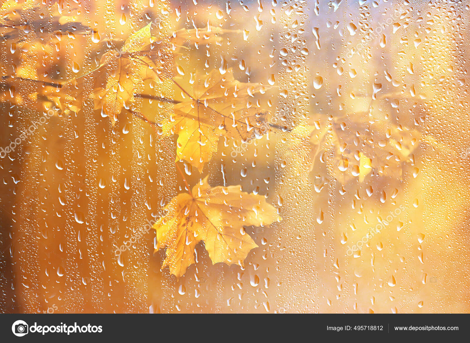 Abstract Autumn Background Rain Leaves Wallpaper Park — Stock Photo ...