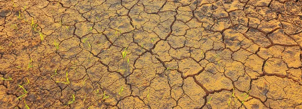 Drought land background texture Stock Photos, Royalty Free Drought land ...