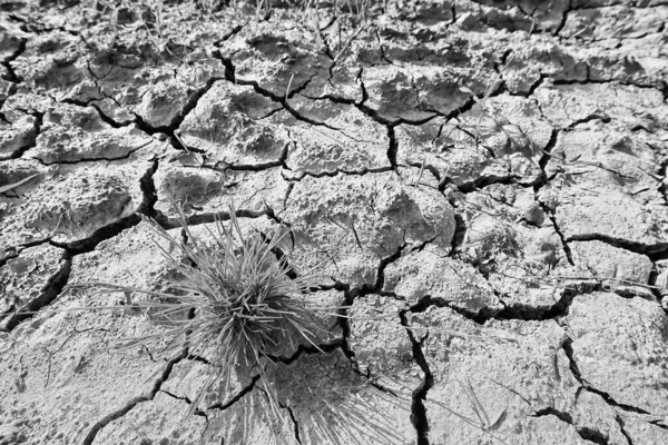 texture desert drought background abstract earth cracked warming global ...