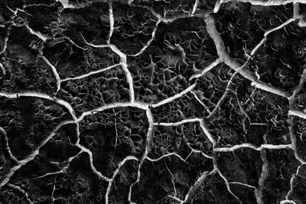 Scar under microscope Stock Photos, Royalty Free Scar under microscope ...