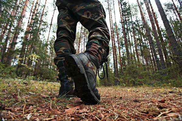 Feet in shoes walking in autumn forest - Stock Image - Everypixel