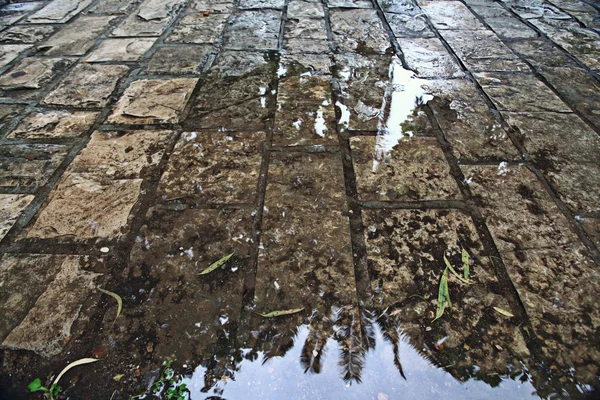 Wet pavement background Stock Photo by ©xload 55958289