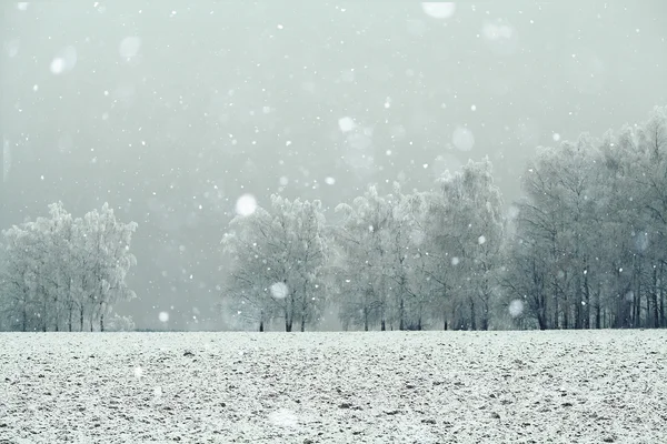 Imágenes de nevado Stock Photos, Royalty Free Imágenes de nevado Images ...