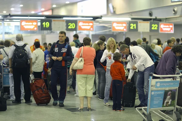 Verification of documents from foreign passengers at the airport ...