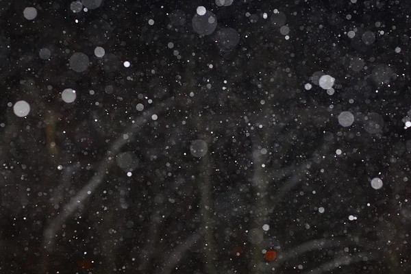 White rain drops background Stock Photo by ©xload 67865571