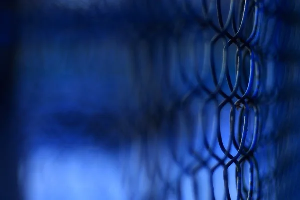 Texture lattice blue background Stock Photos, Royalty Free Texture ...