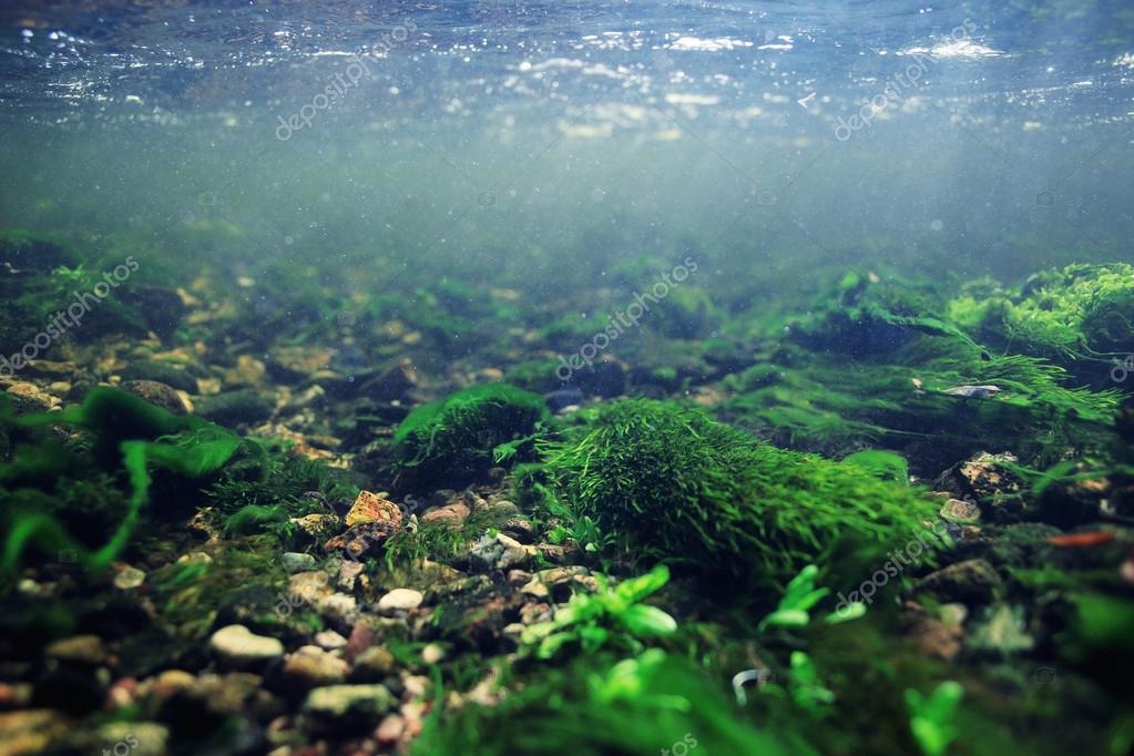 Underwater in a mountain river Stock Photo by ©xload 87248230