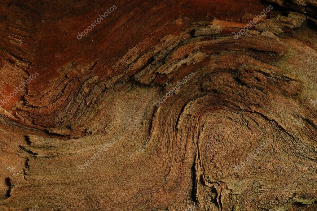 Wood background texture old tree Stock Photo by ©xload 87282850