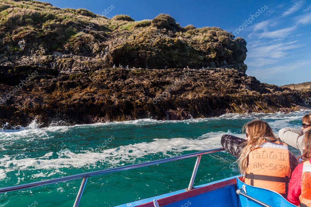 ISLA CHILOE, CHILE - 20 DE MARZO DE 2015: Turistas en barco observan pingüinos en área protegida ...
