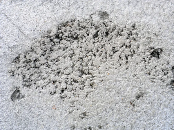 Mouse faeces Stock Photos, Royalty Free Mouse faeces Images | Depositphotos