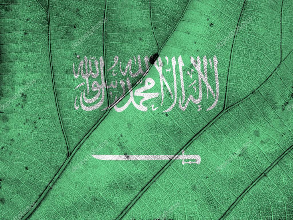 Saudi Arabia flag leaf texture — Stock Photo © paisan191 #88005196
