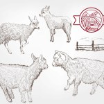 Animals set Stock Vector Image by ©silvertiger #6096983