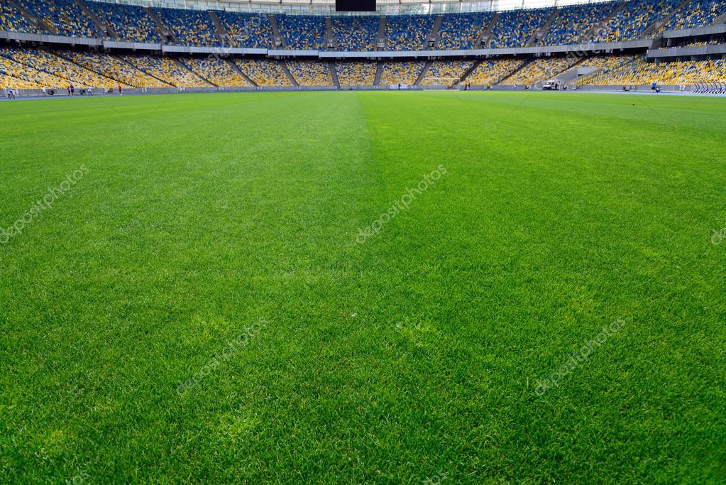 Green grass on stadium — Stock Photo © mike_kiev #112409682