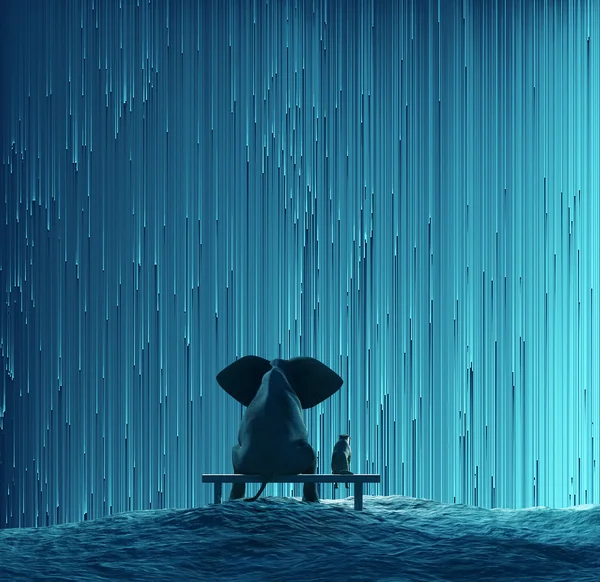 Star rain Images - Search Images on Everypixel