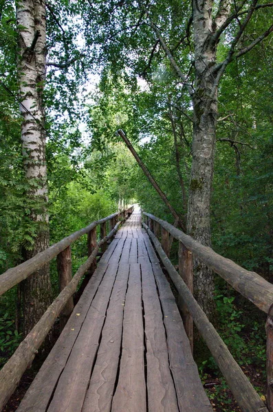 Bridge nature wood Stock Photos, Royalty Free Bridge nature wood Images ...