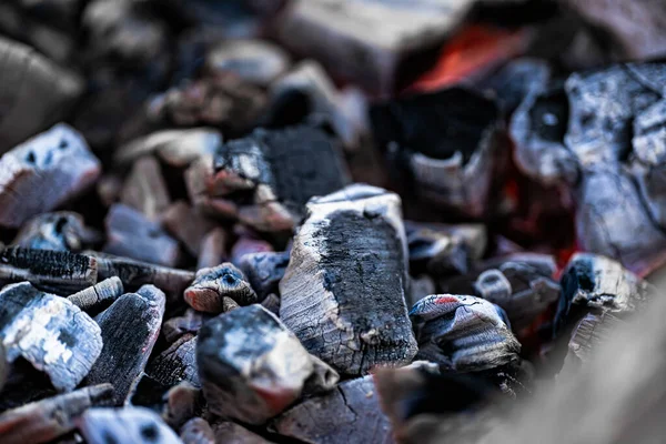 Vegetable charcoal Stock Photos, Royalty Free Vegetable charcoal Images ...