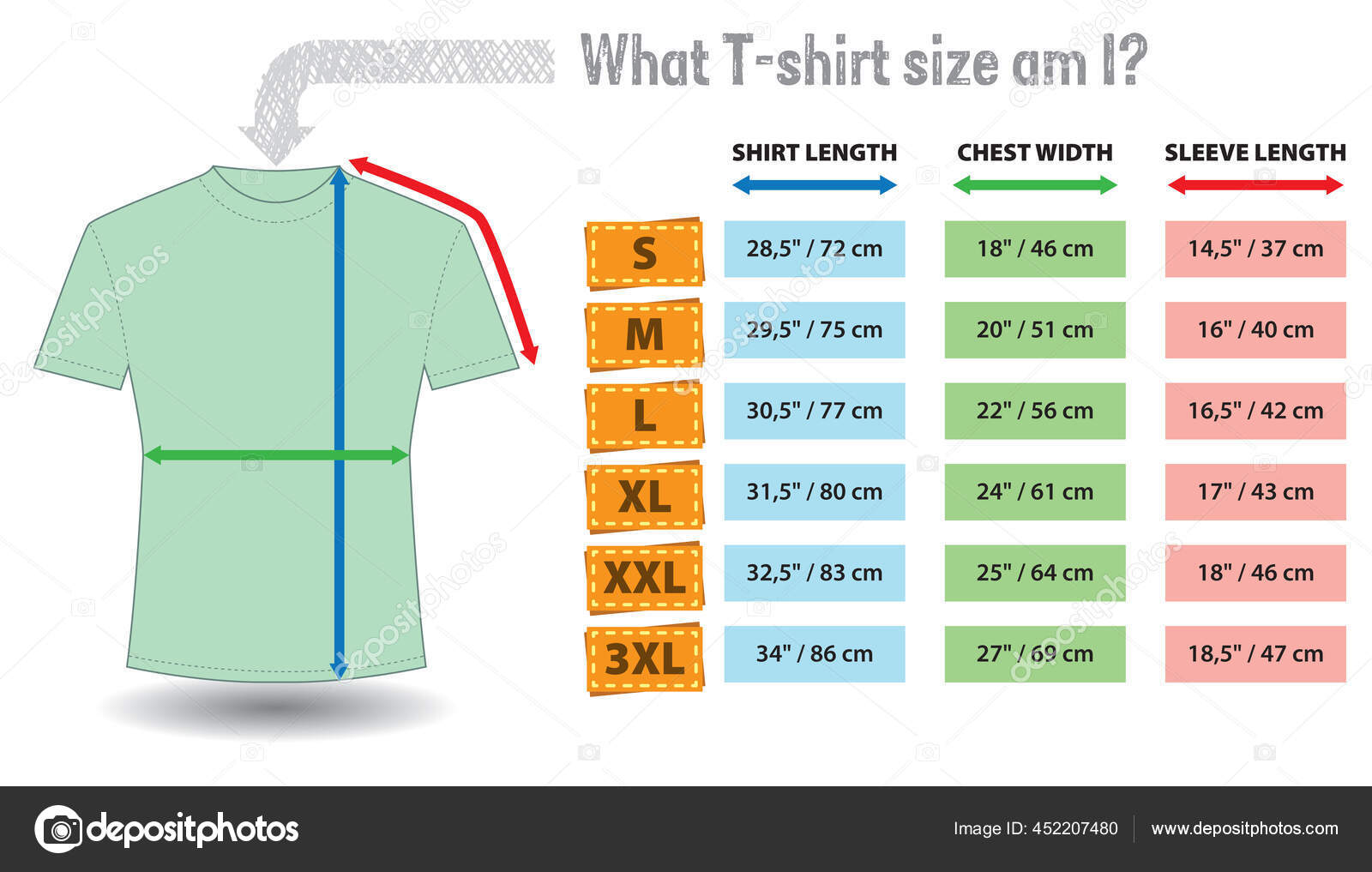 Vector Illustration Unisex Short Sleeve Fhirts Sizing Chart Stock ...