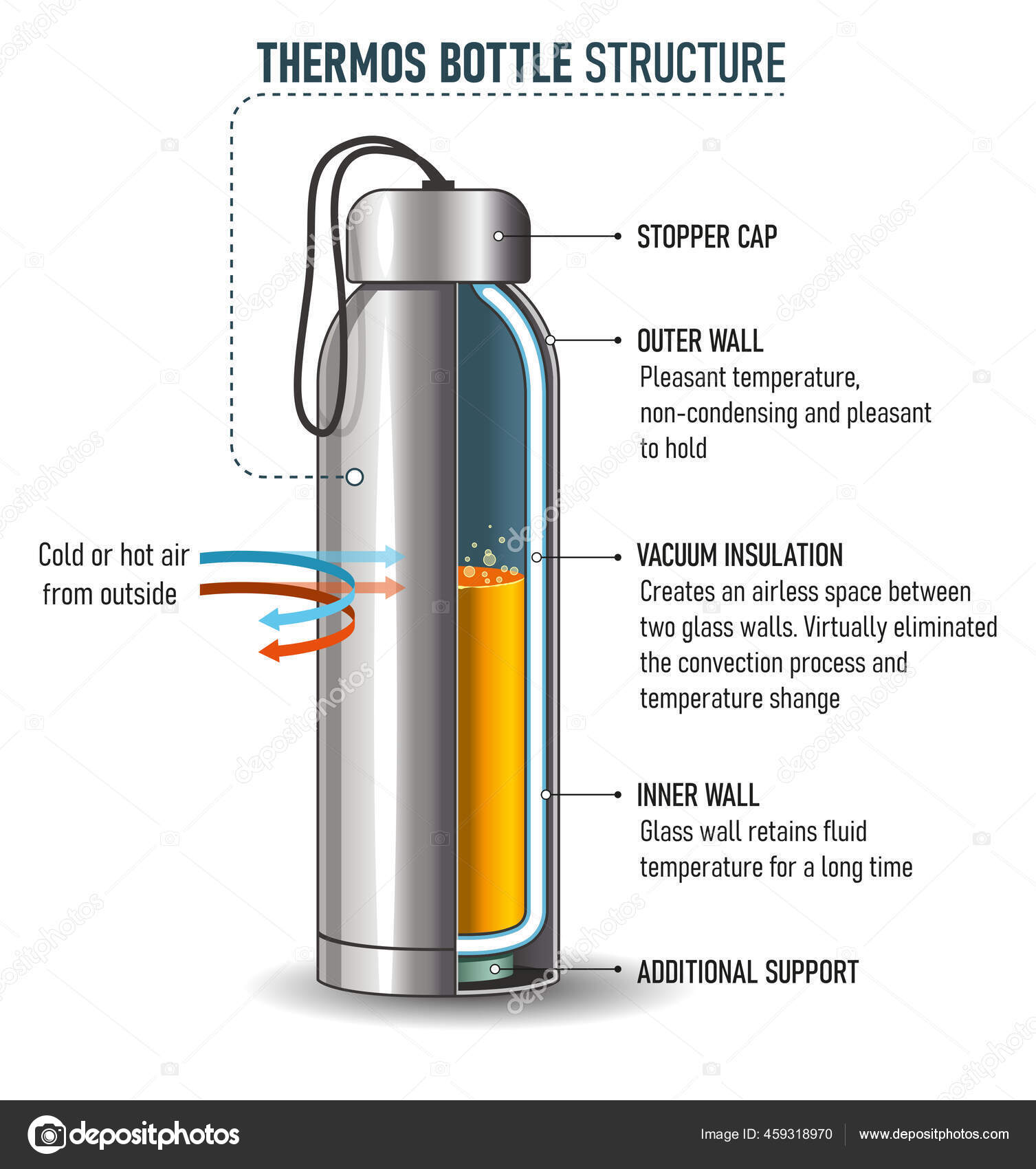 Termos Şişeleri Nasıl Çalışıyor Termos Şişesinin Temel Yapısı Bilgisel ...