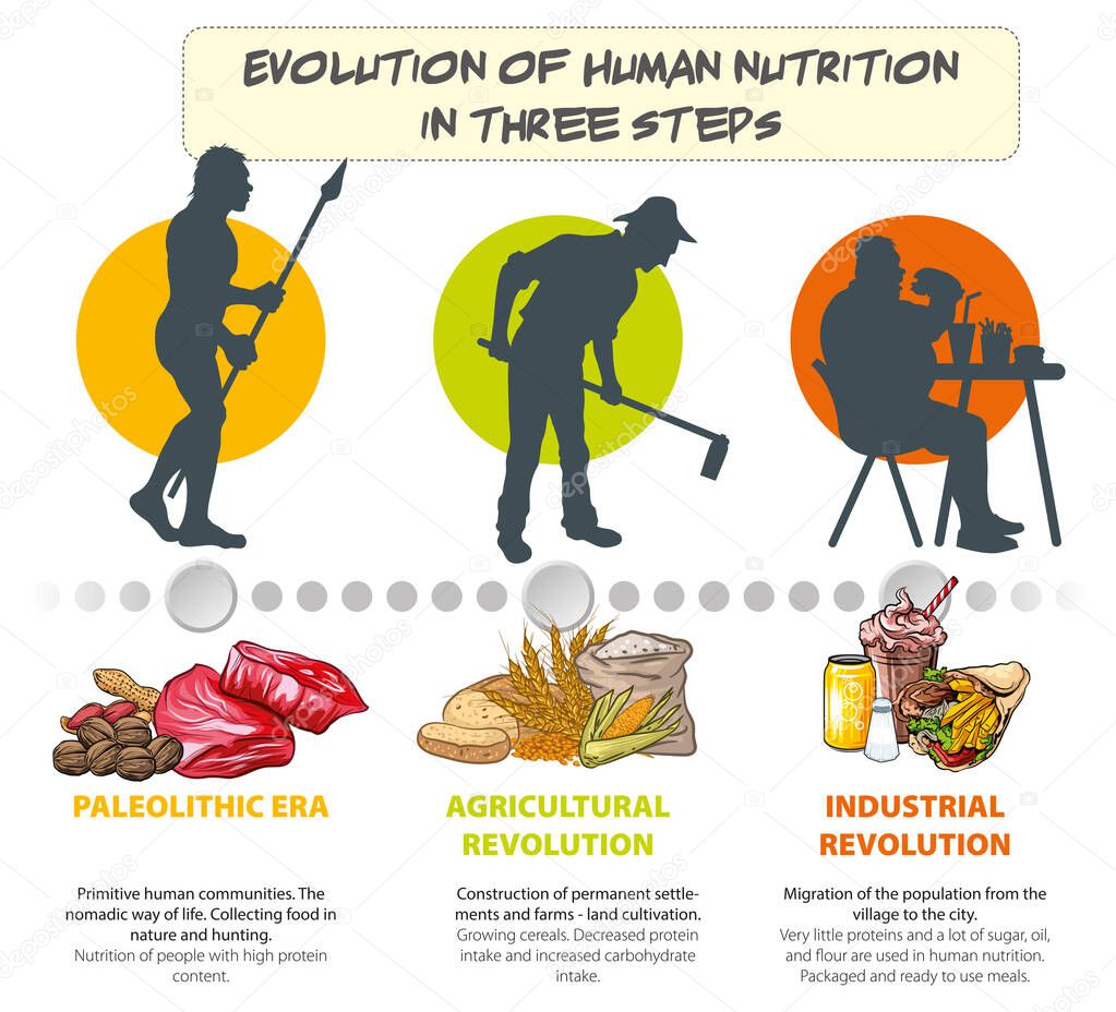 Infografía del desarrollo de la nutrición humana a través de la ...