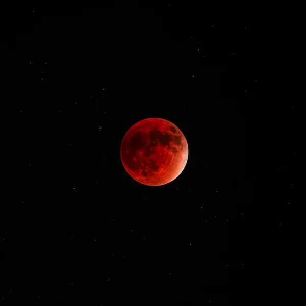 Real Blood Moon Pictures