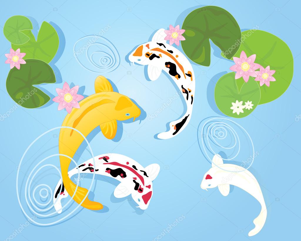 Koi pond Stock Vector by ©sandesh1264 54225583