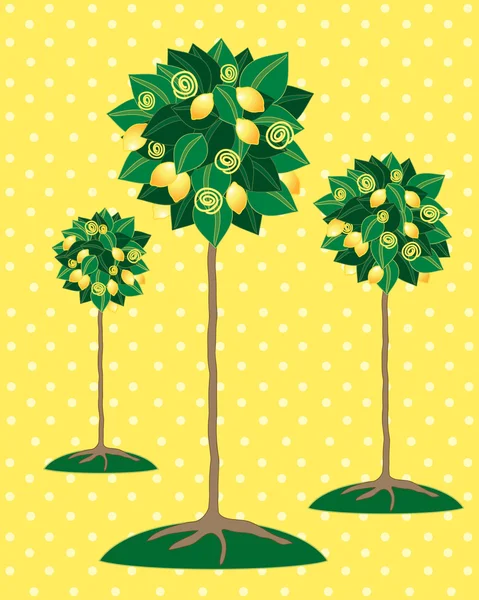 Lemon tree Vector Art Stock Images | Depositphotos