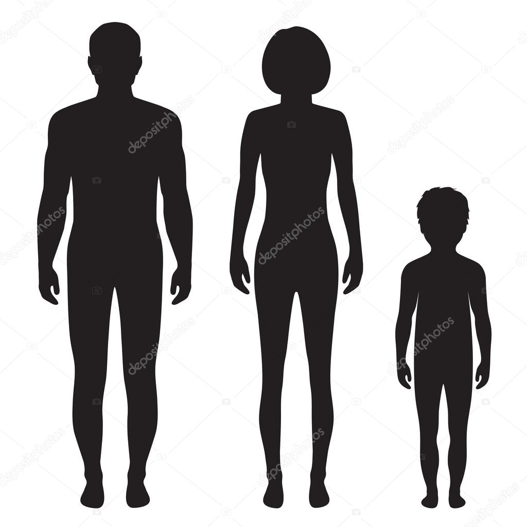 Human body anatomy Stock Vector Image by ©eveleen #65393721
