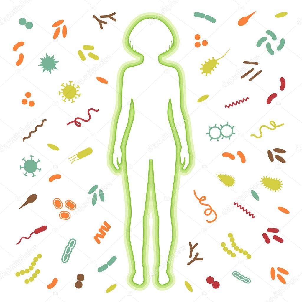 Immune protection system — Stock Vector © eveleen #93263336 Immune protection system — Stock Vector © eveleen #93263336