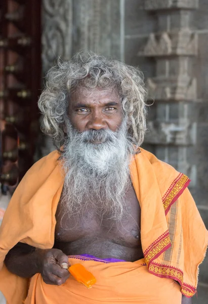 Hindu priest Stock Photos, Royalty Free Hindu priest Images | Depositphotos