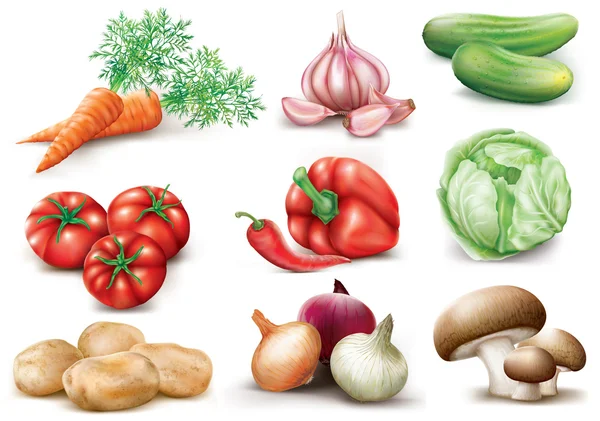 Vegetables collection Vector Art Stock Images | Depositphotos