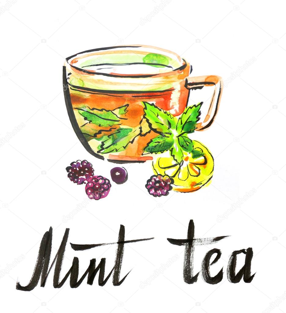 Watercolor mint tea Stock Illustration by ©mimino #79416678