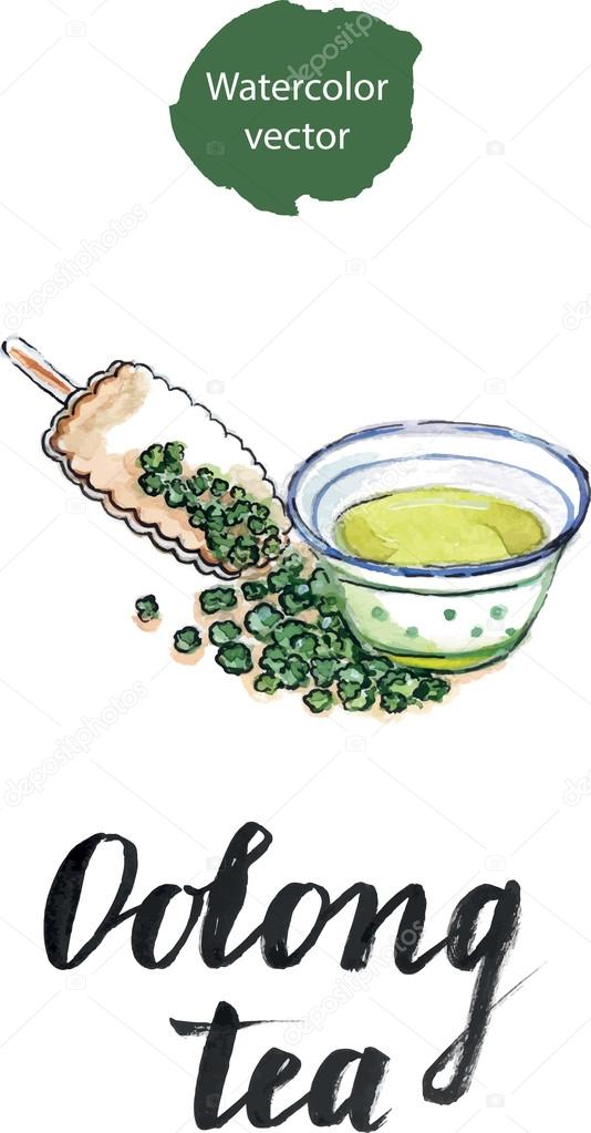 Dry Chinese oolong tea leaf and oolong tea in traditional cup an Stock ...