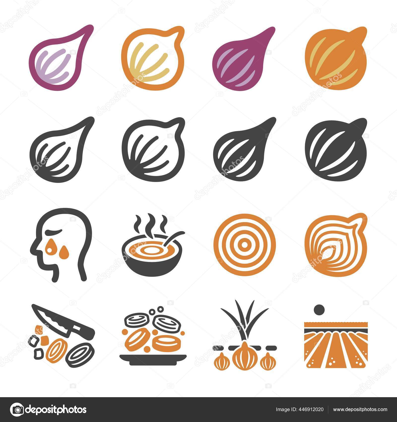 Onion Shallot Icon Set Vector Illustration Stock Vector Image by ...
