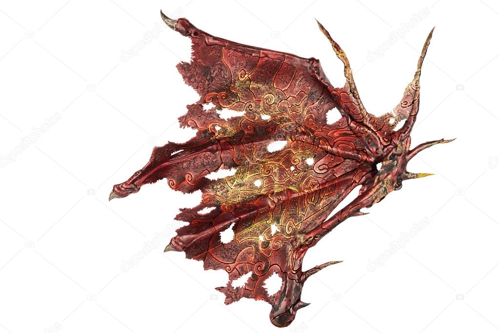 Dragon wing isolated Stock Photo by ©mikeaubry 117204878
