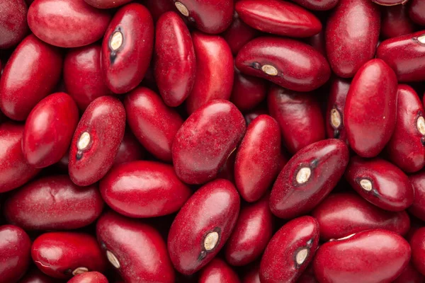 micro Primer plano de Organic Rajma, (Laal Lobia) o frijoles rojos dal ...