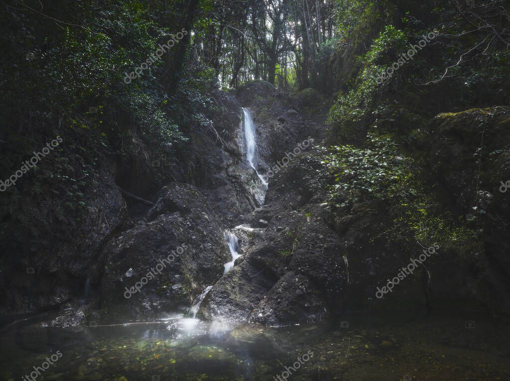 Cascada de arroyo dentro de un bosque. Bosques de Magona, Bibbona ...