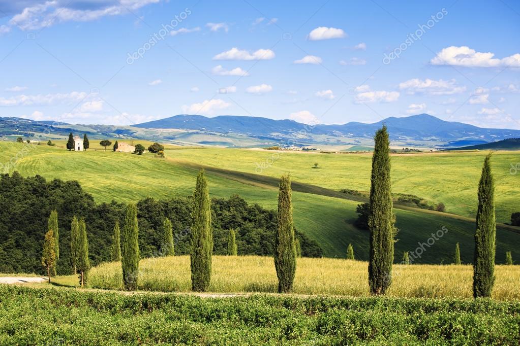 Tuscany landscape, cypress trees – Stock Editorial Photo © StevanZZ ...