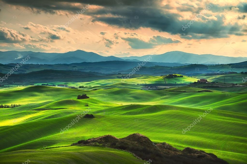 Tuscany spring, rolling hills on sunset. Rural landscape. Green — Stock ...