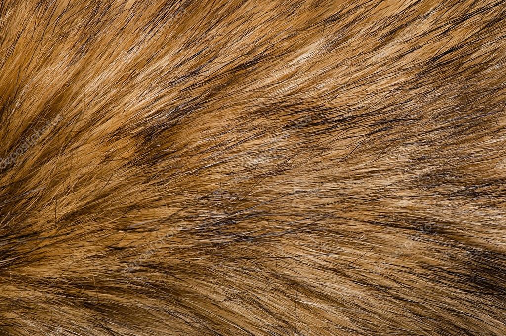 Fur background Stock Photo by ©Taddeus 59699907