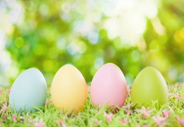 Green egg color Stock Photos, Royalty Free Green egg color Images ...