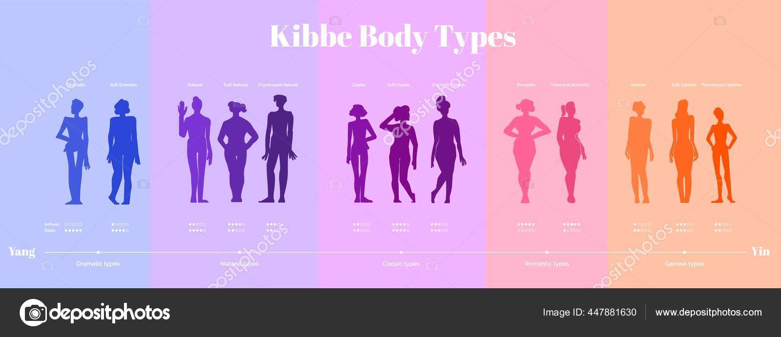 13 Kibbe body types Stock Vector Image by ©webkpd #447881630 13 Kibbe body types Stock Vector Image by ©webkpd #447881630