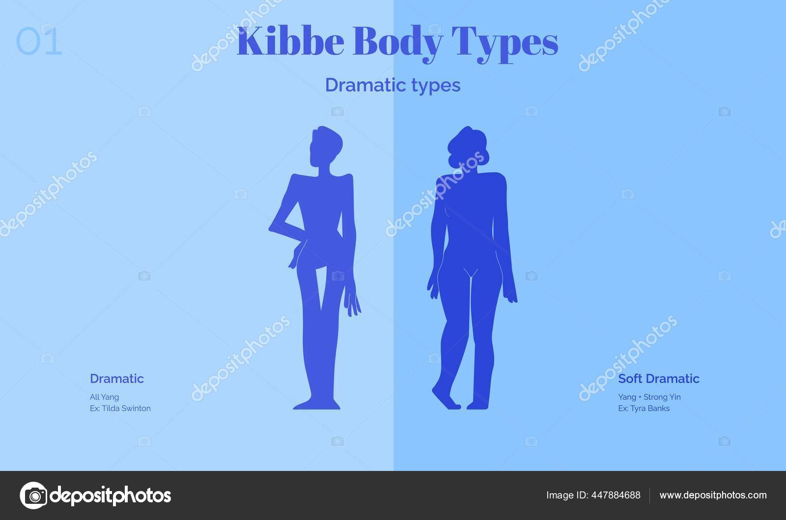 Two dramatic body types which differ depending on the structure of the ...