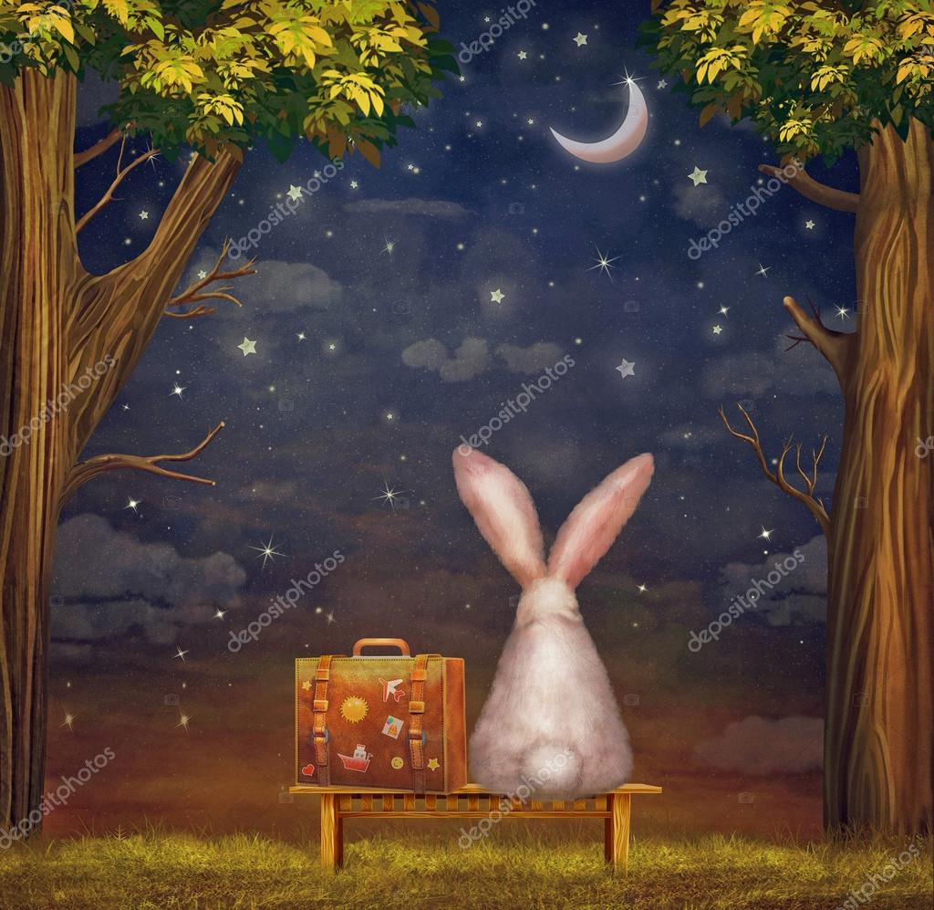 Sad rabbit with suitcase sitting on the bench in the forest Stock Photo ...