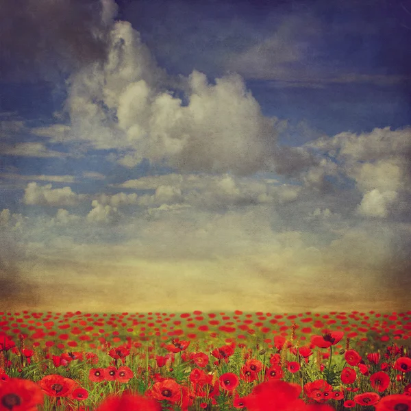 Cartoon poppies Stock Photos, Royalty Free Cartoon poppies Images ...